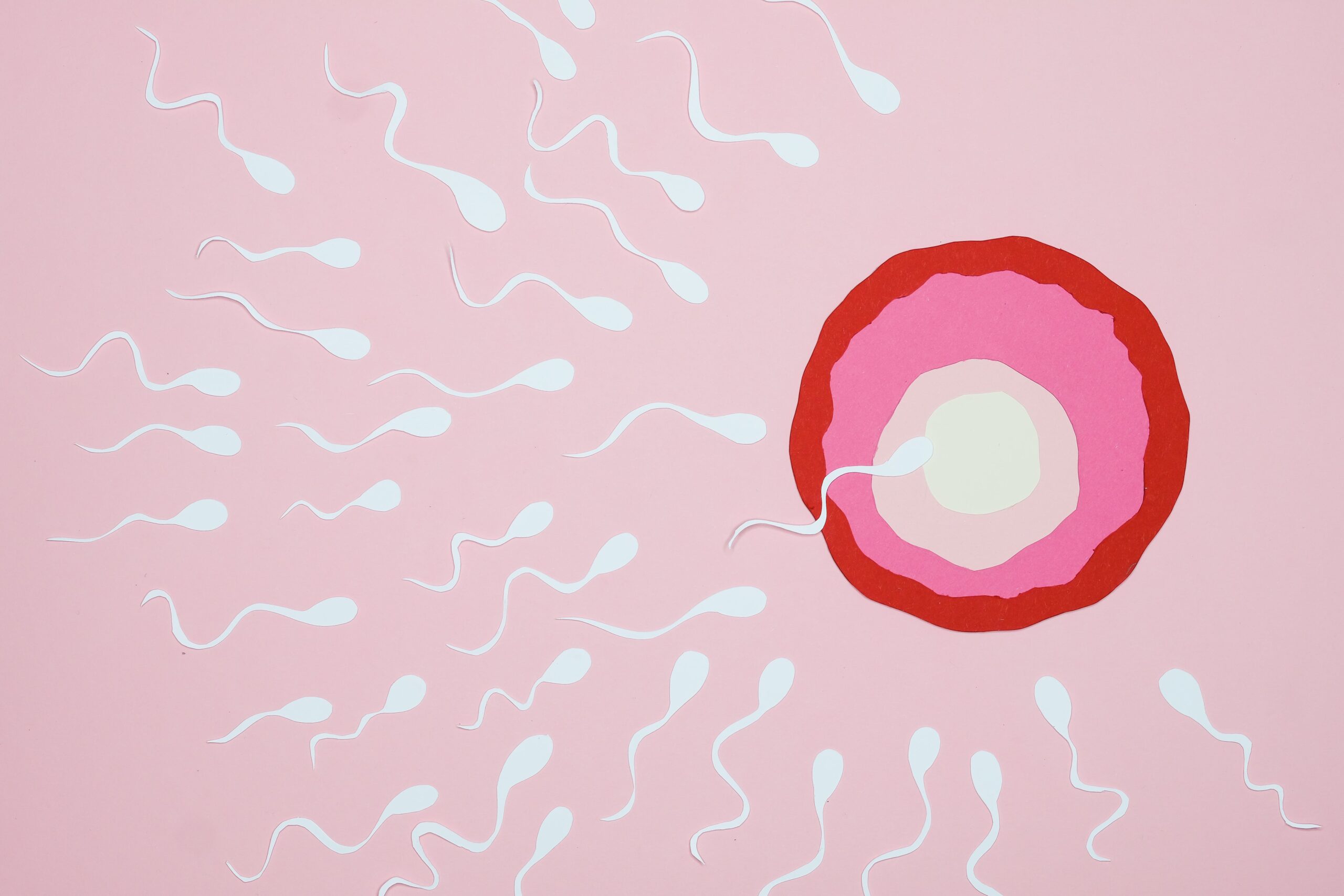 Alarmující úbytek spermií u mužů. Do roku 2040 by na naší planetě ...